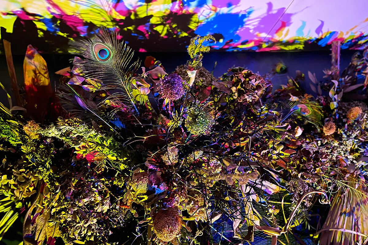 クリエイティブ事業 - Spaq株式会社